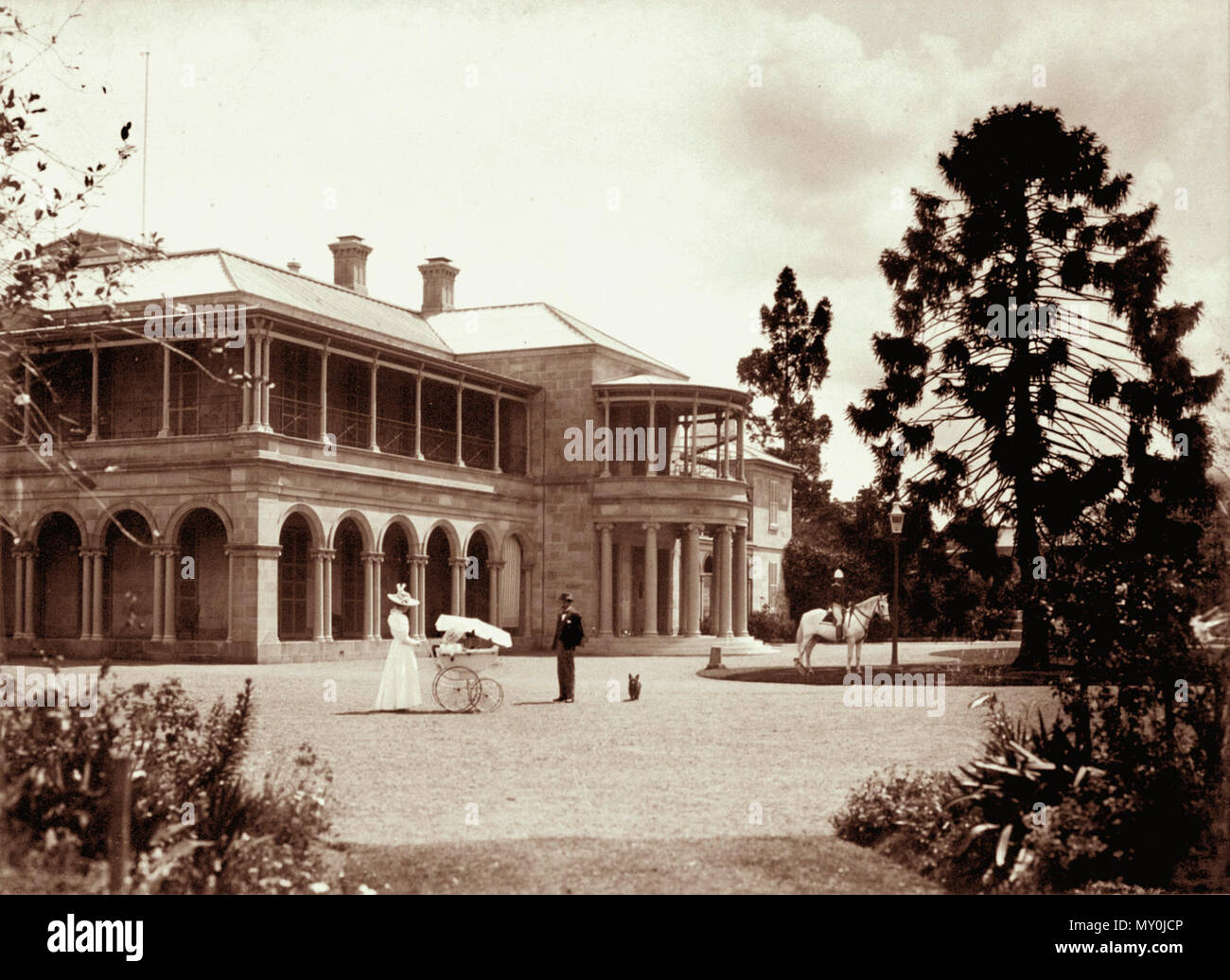 Lady lamington hi-res stock photography and images - Alamy