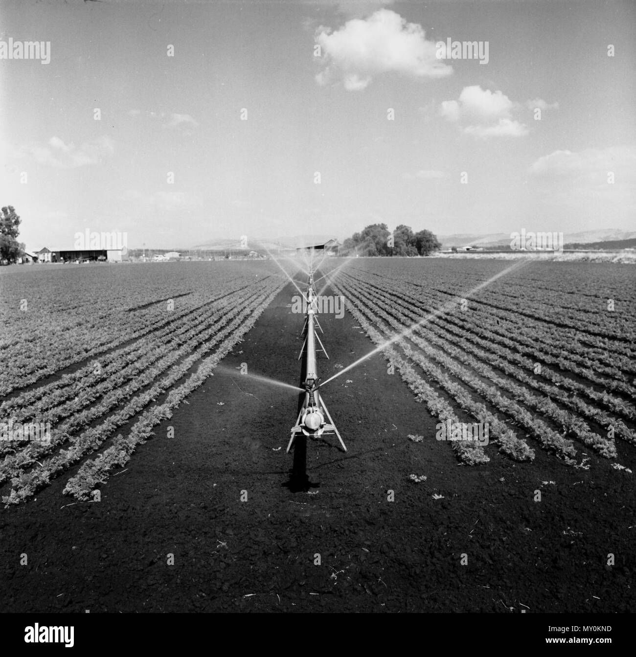 Queensland agricultural college hi-res stock photography and images - Alamy