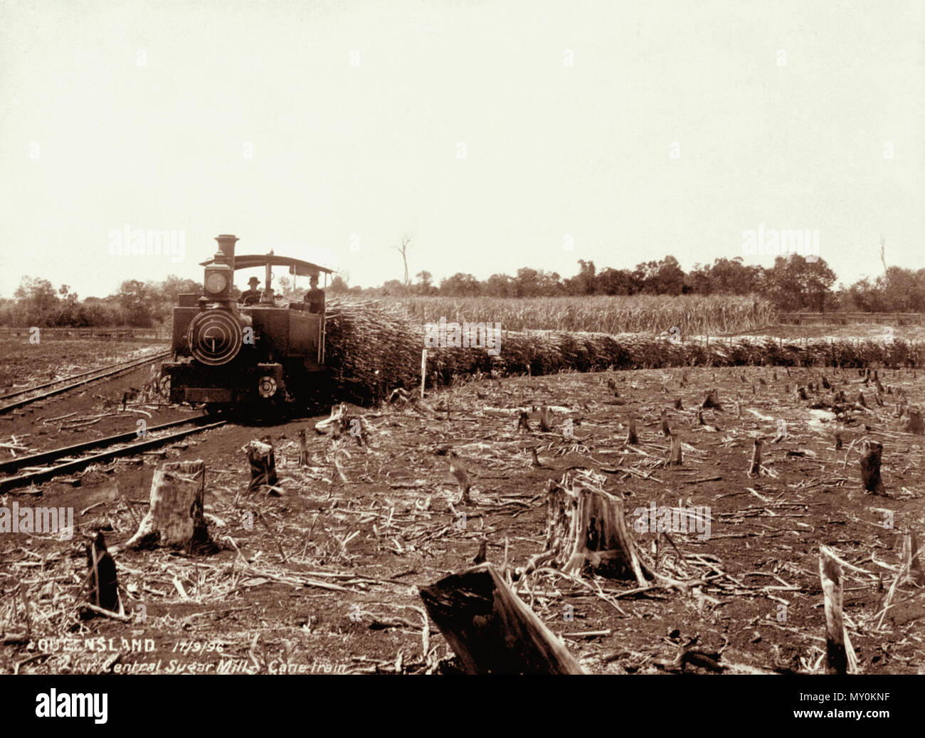Isis Central Sugar Mill with cane train, 17 September 1896. Isis Sugar ...