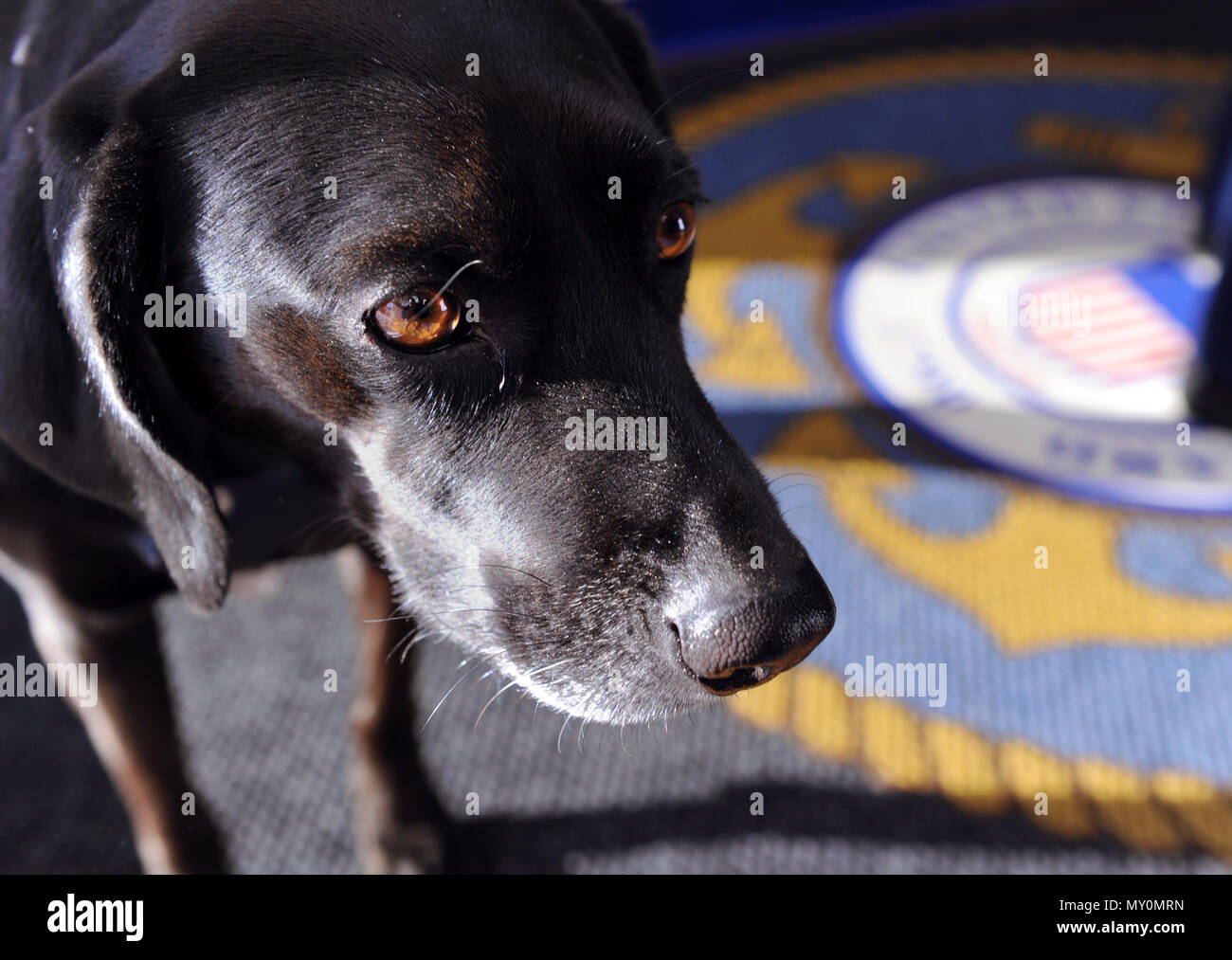 Revenue cutter service uniform hi-res stock photography and images - Alamy