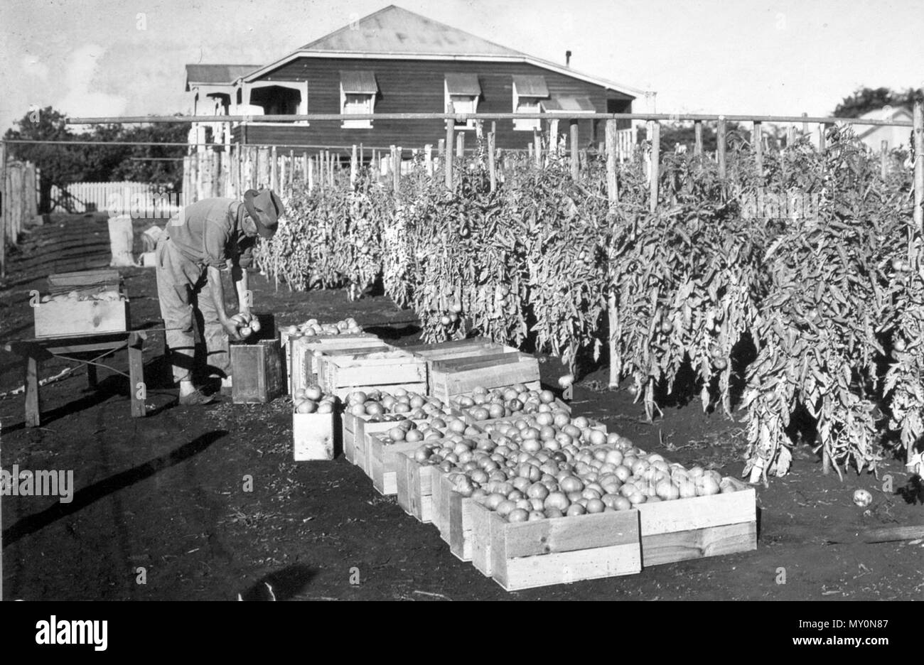 Country pt Black and White Stock Photos & Images - Alamy