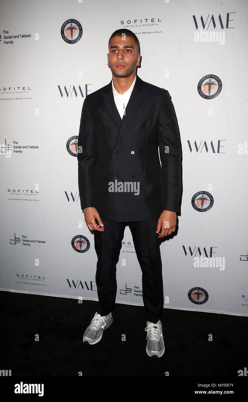 Syrian American Medical Society Event - Arrivals Featuring: Younes ...