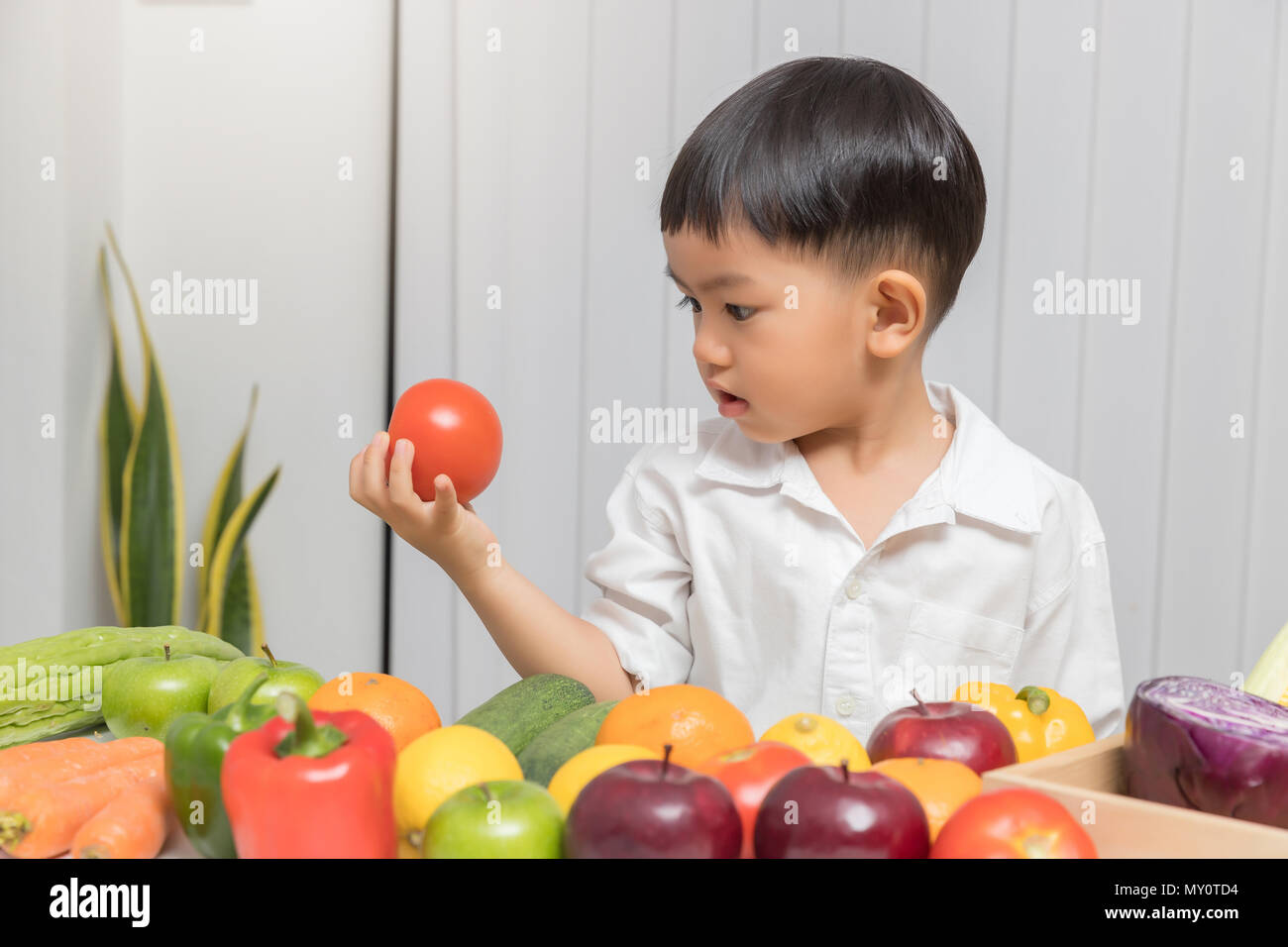 Healthy and nutrition concept. Kid learning about nutrition to choose ...