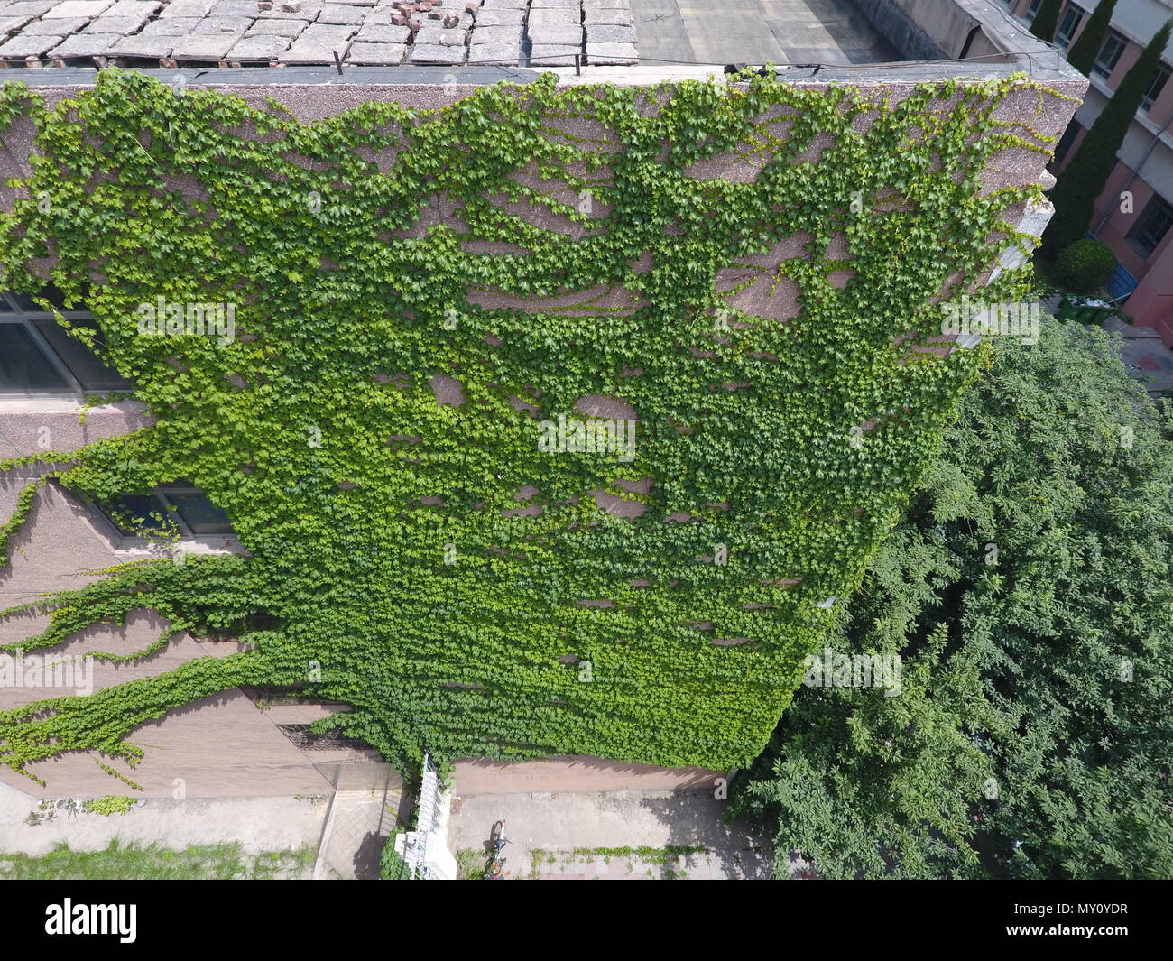 Central agricultural library hi-res stock photography and images - Alamy