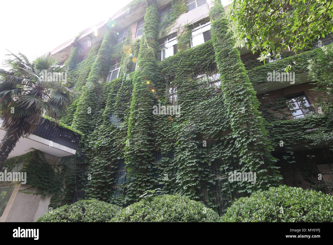 Central agricultural library hi-res stock photography and images - Alamy