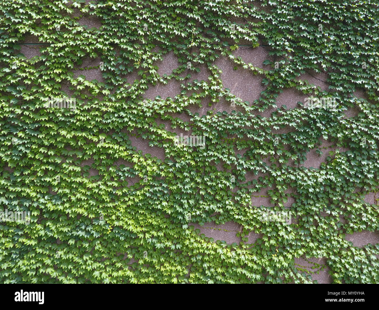 Central agricultural library hi-res stock photography and images - Alamy