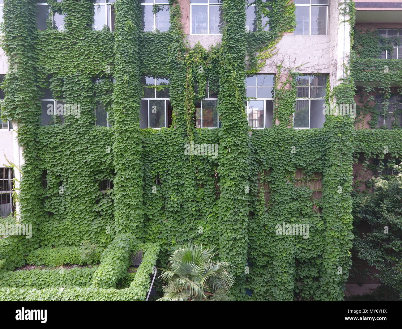 Central agricultural library hi-res stock photography and images - Alamy