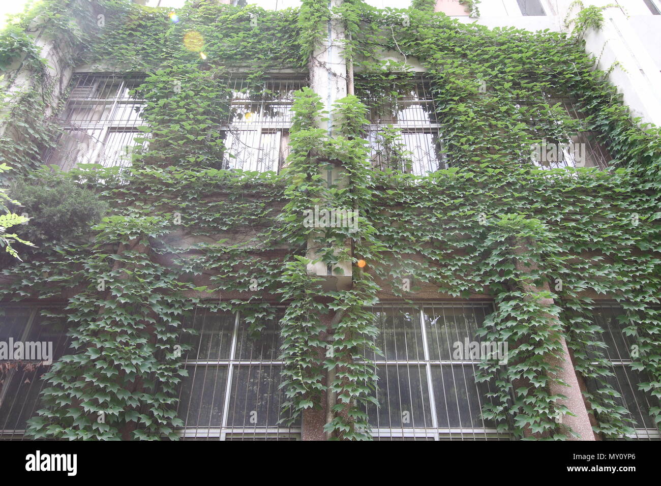 Central agricultural library hi-res stock photography and images - Alamy