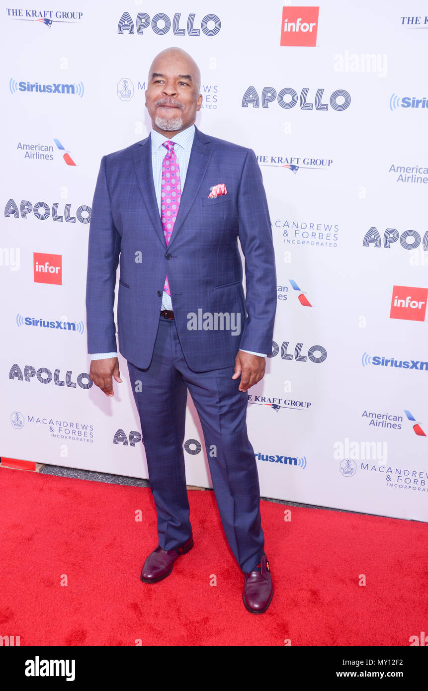 NEW YORK, NY - JUNE 4: David Allen Grier attends the Apollo Spring Gala ...