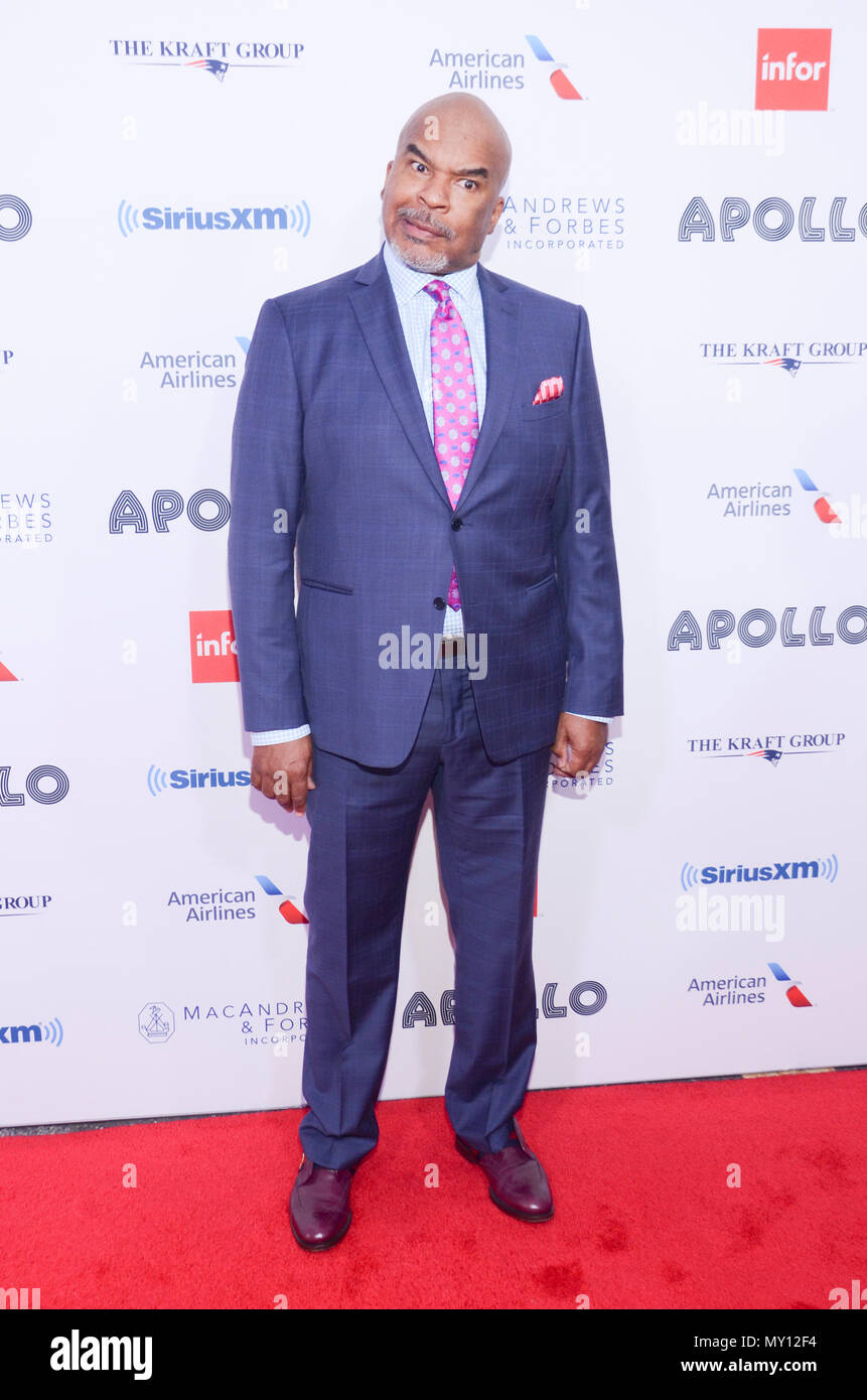 NEW YORK, NY - JUNE 4: David Allen Grier attends the Apollo Spring Gala ...