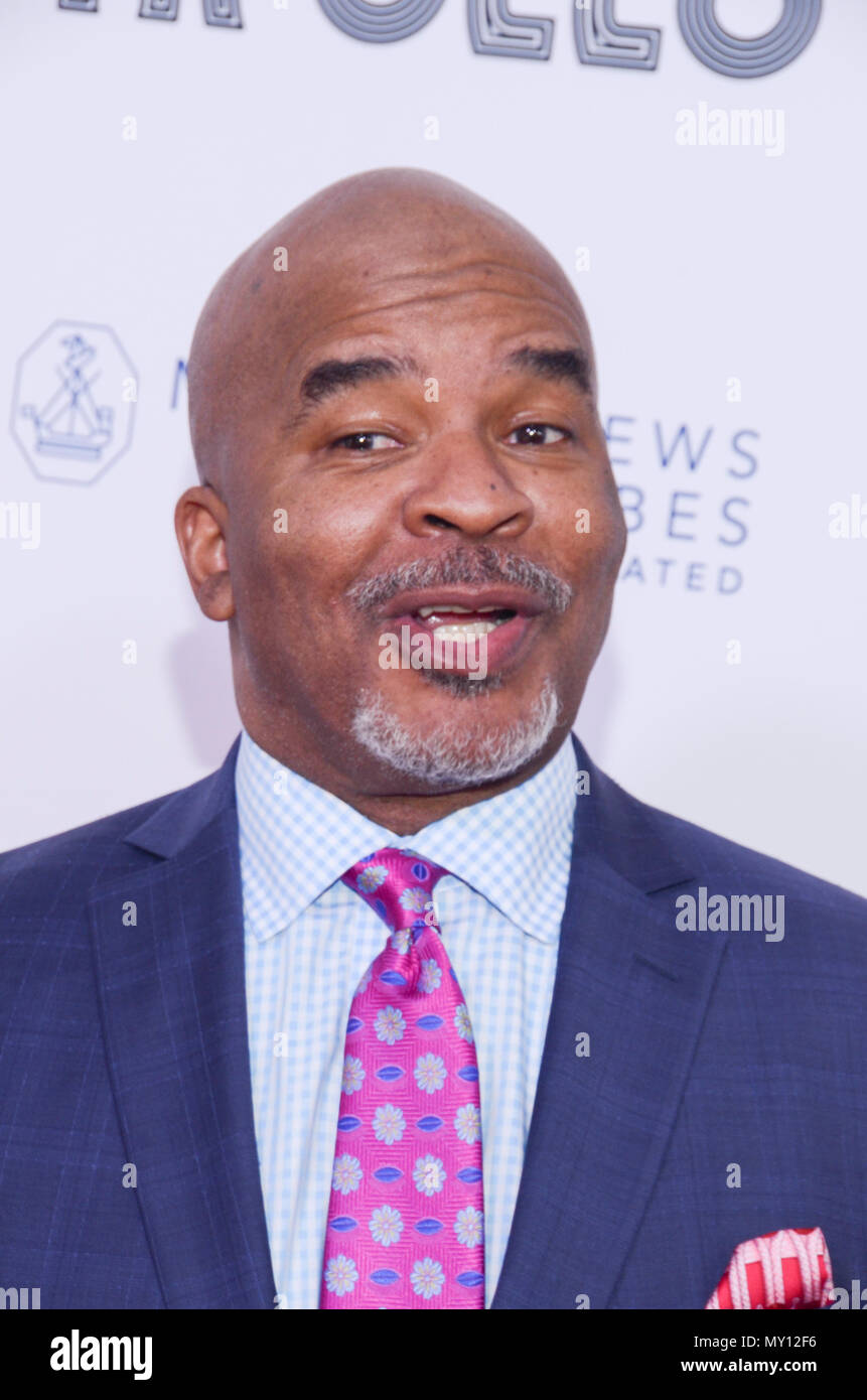 NEW YORK, NY - JUNE 4: David Allen Grier attends the Apollo Spring Gala ...
