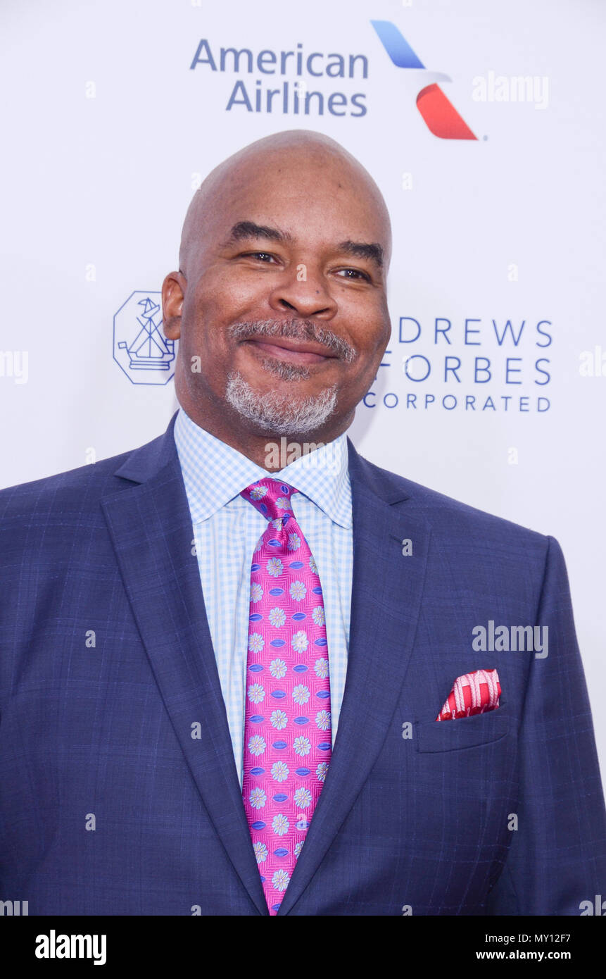 NEW YORK, NY - JUNE 4: David Allen Grier attends the Apollo Spring Gala ...