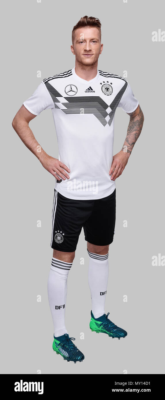 Nuestros Programas - ibif