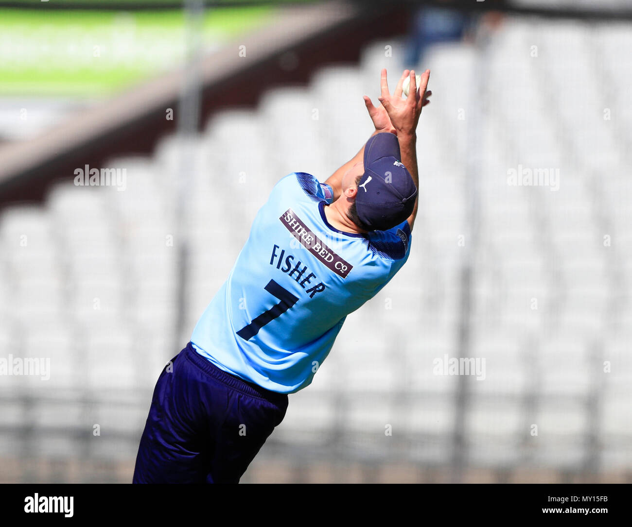 Matthew fisher cricket hi-res stock photography and images - Alamy