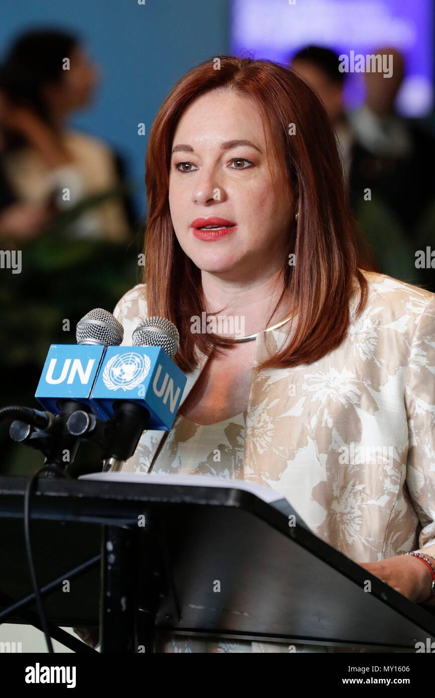 United Nations, New York, USA, June 05, 2018 - The General Assembly ...