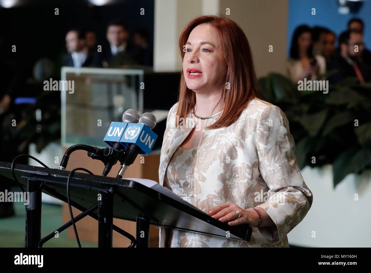 United Nations, New York, USA, June 05, 2018 - The General Assembly ...