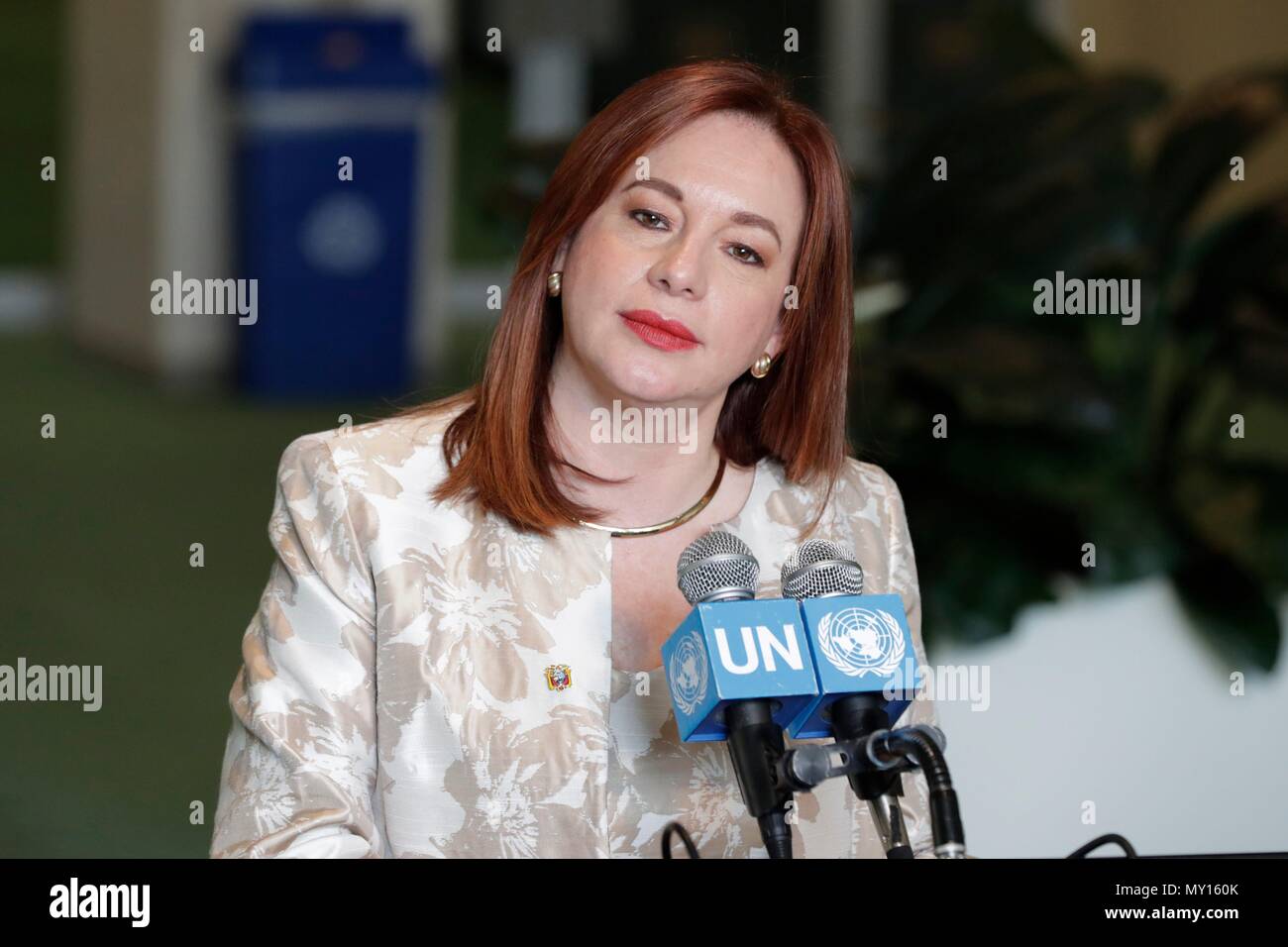 United Nations, New York, USA, June 05, 2018 - The General Assembly ...