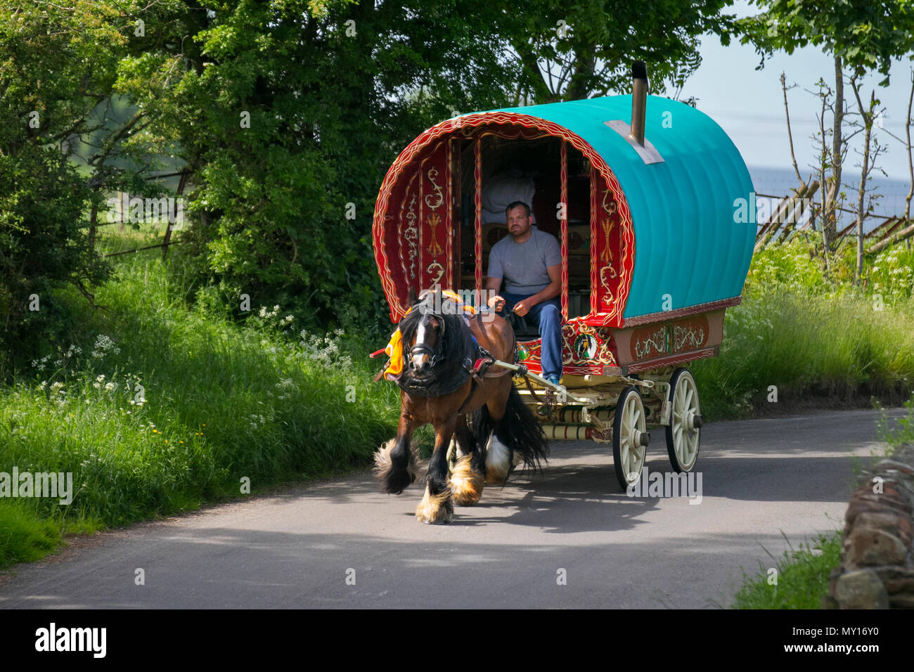 Romany gypsy caravans travelling on road. A vanner wagon, vardo, bow ...