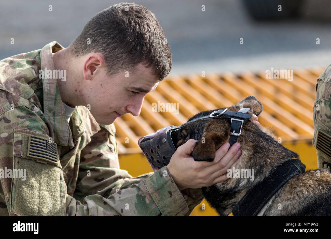 Army Spc. Ian Long, a military working dog handler from Fort Campbell ...