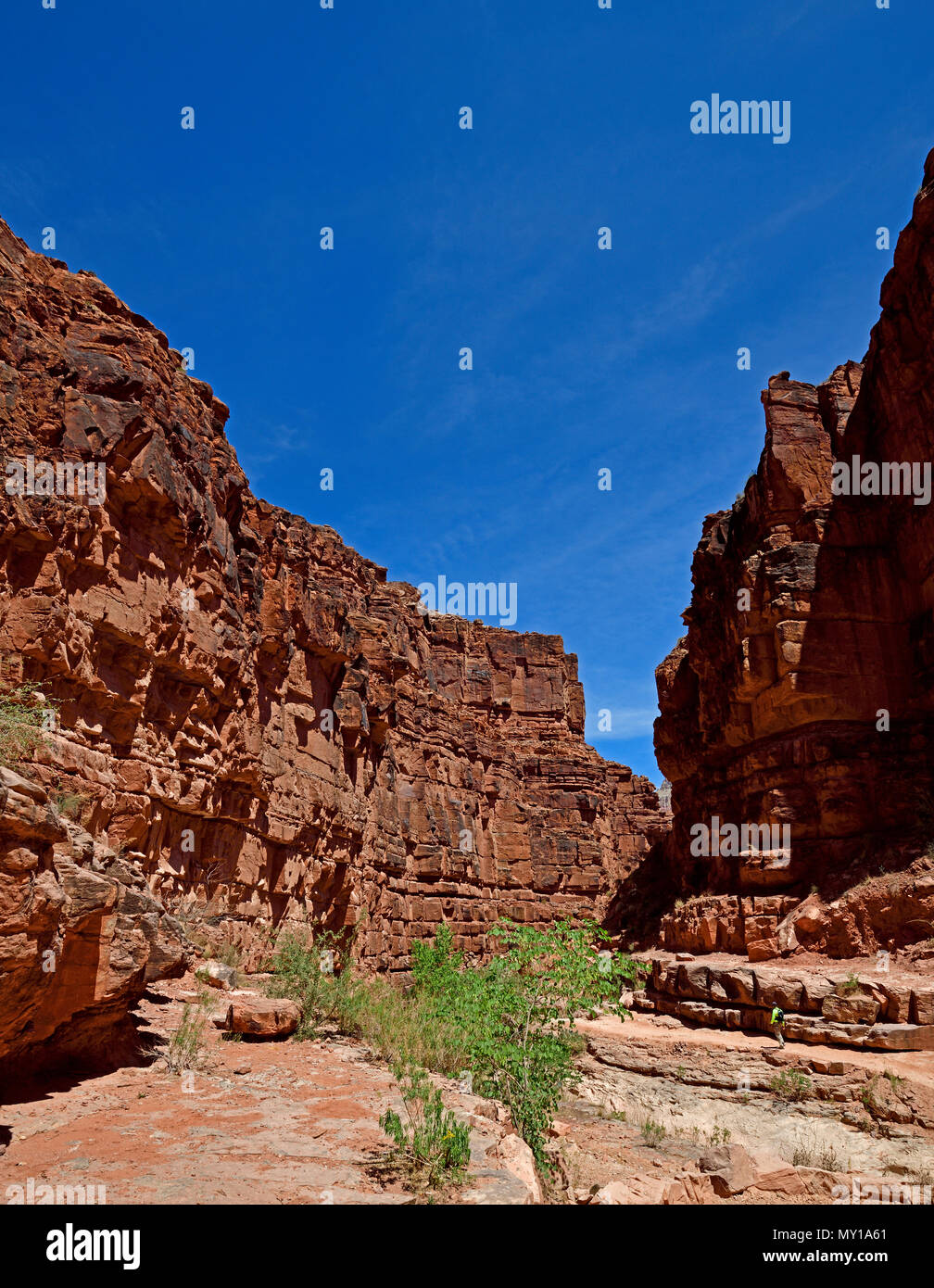 Supai Village High Resolution Stock Photography and Images - Alamy