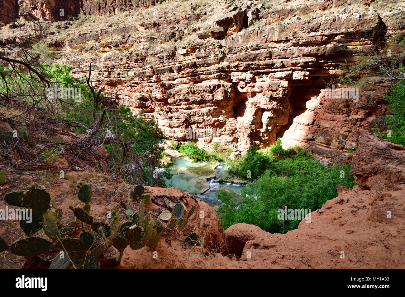 Hualapai tribe hi-res stock photography and images - Alamy