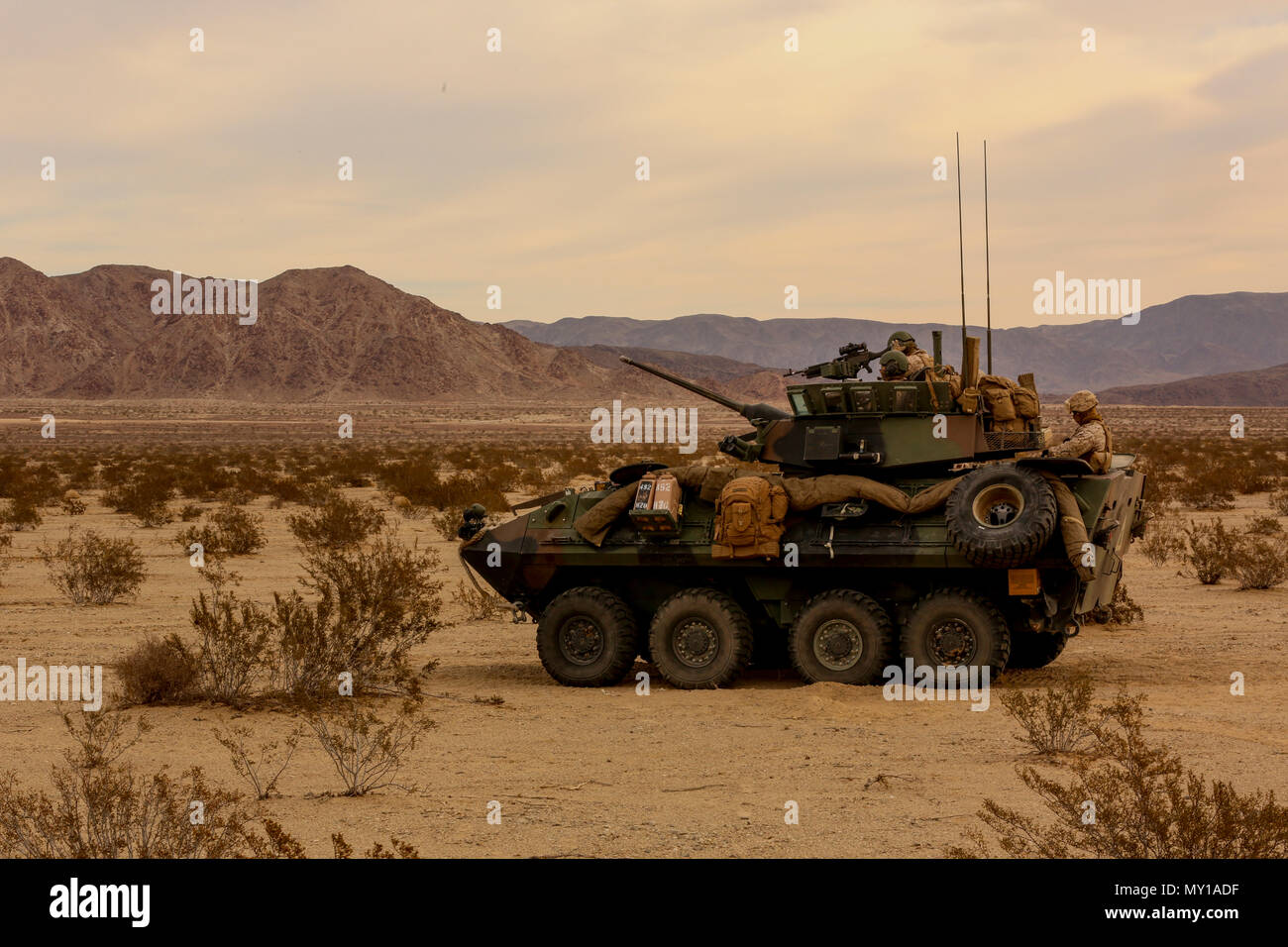 Light Armored Recon High Resolution Stock Photography and Images - Alamy
