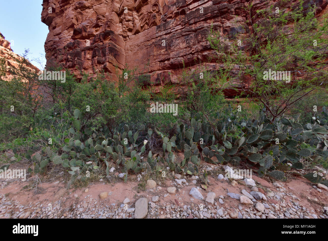 Hualapai tribe hi-res stock photography and images - Alamy