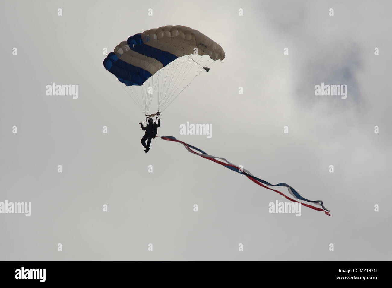 A member from the Wings of Blue, U.S. Air Force Parachute Team ...