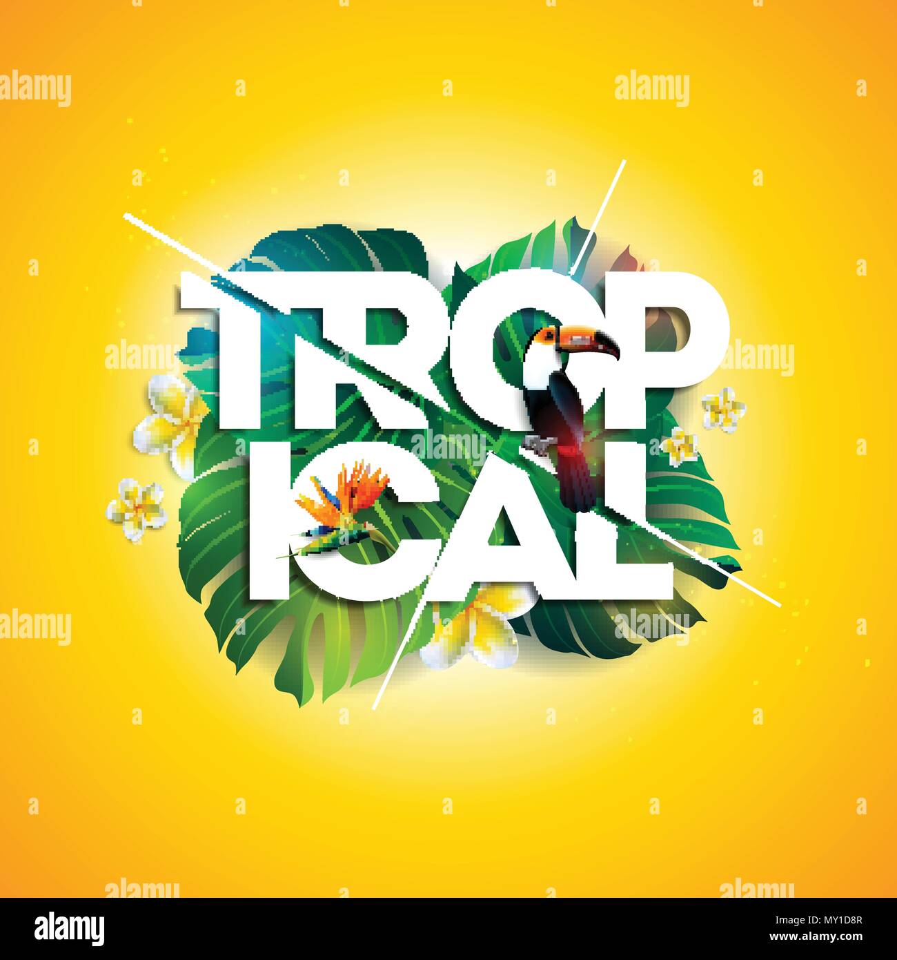 Vector Tropical Holiday typographic illustration with Toucan bird ...