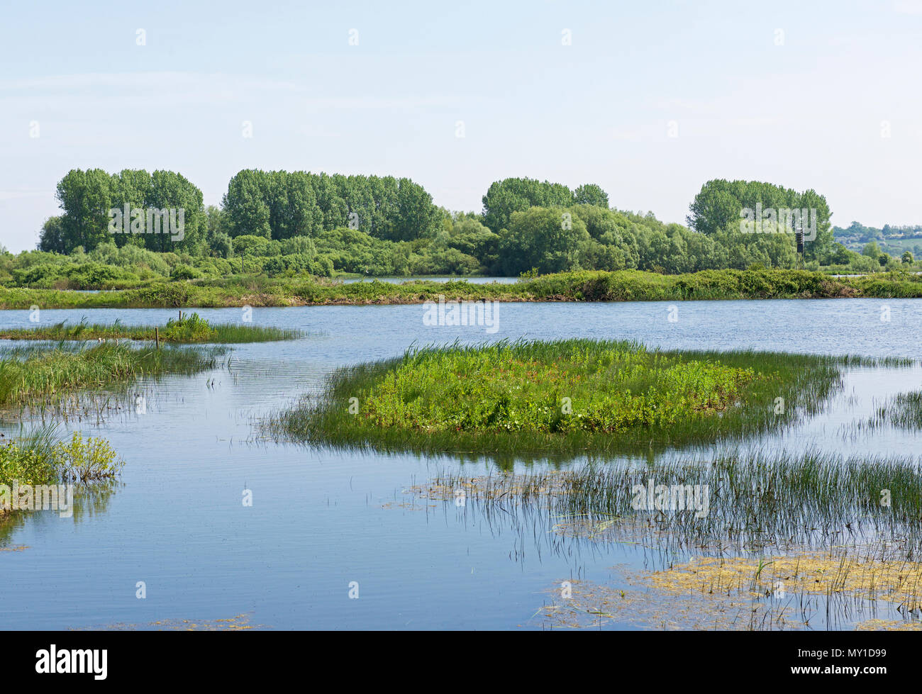 . rutland water nature reserve hi-res stock photography and images - Alamy