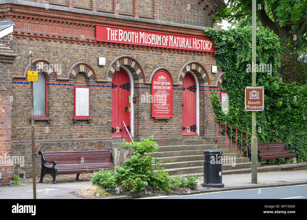 The Booth Museum of Natural History in Brighton and Hove UK Stock Photo ...