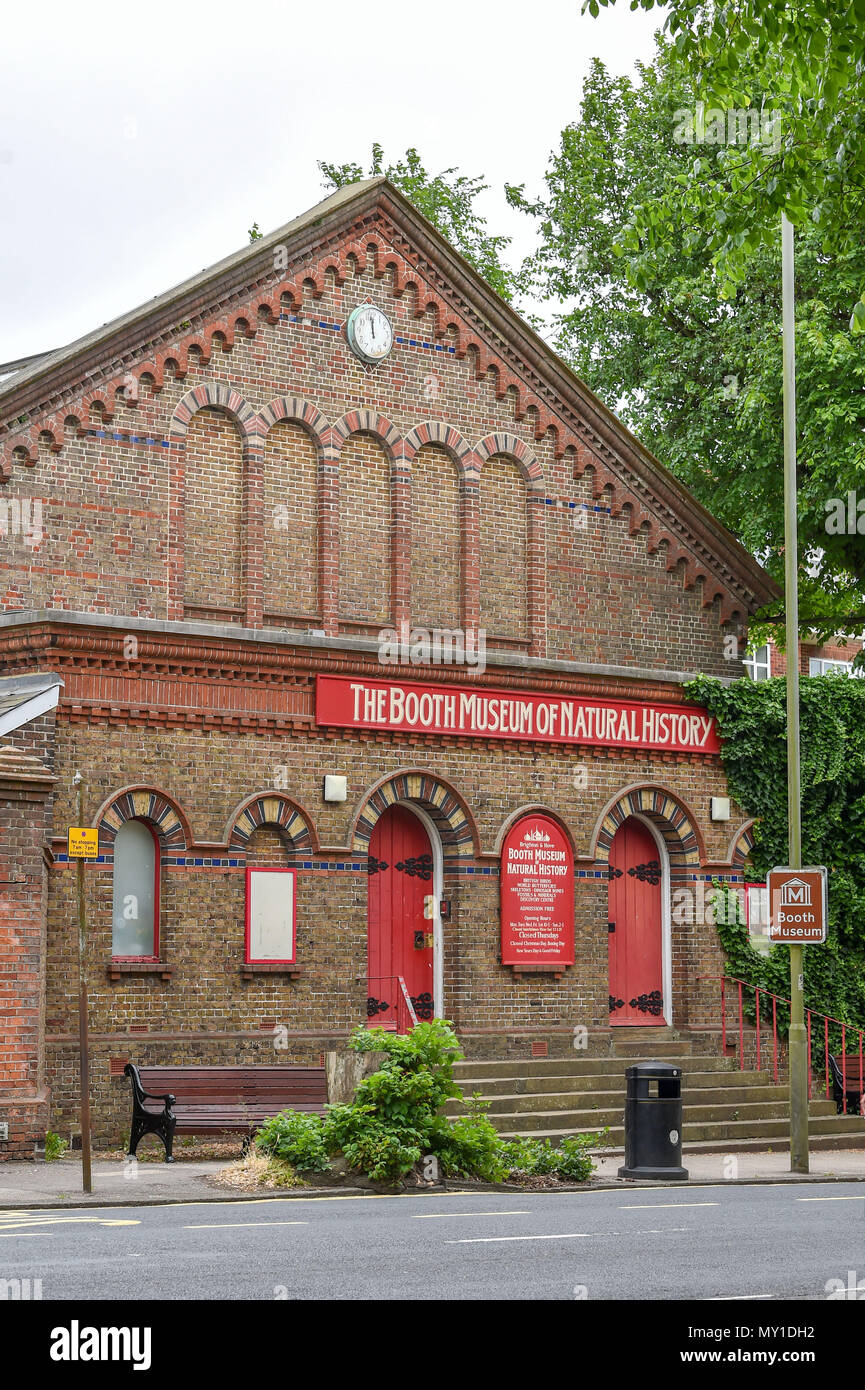 The Booth Museum of Natural History in Brighton and Hove UK Stock Photo ...