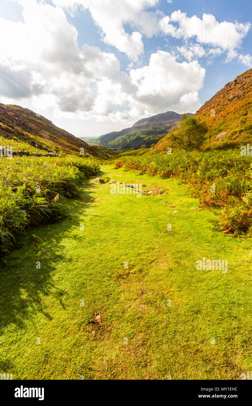Cwm bychan hi-res stock photography and images - Alamy