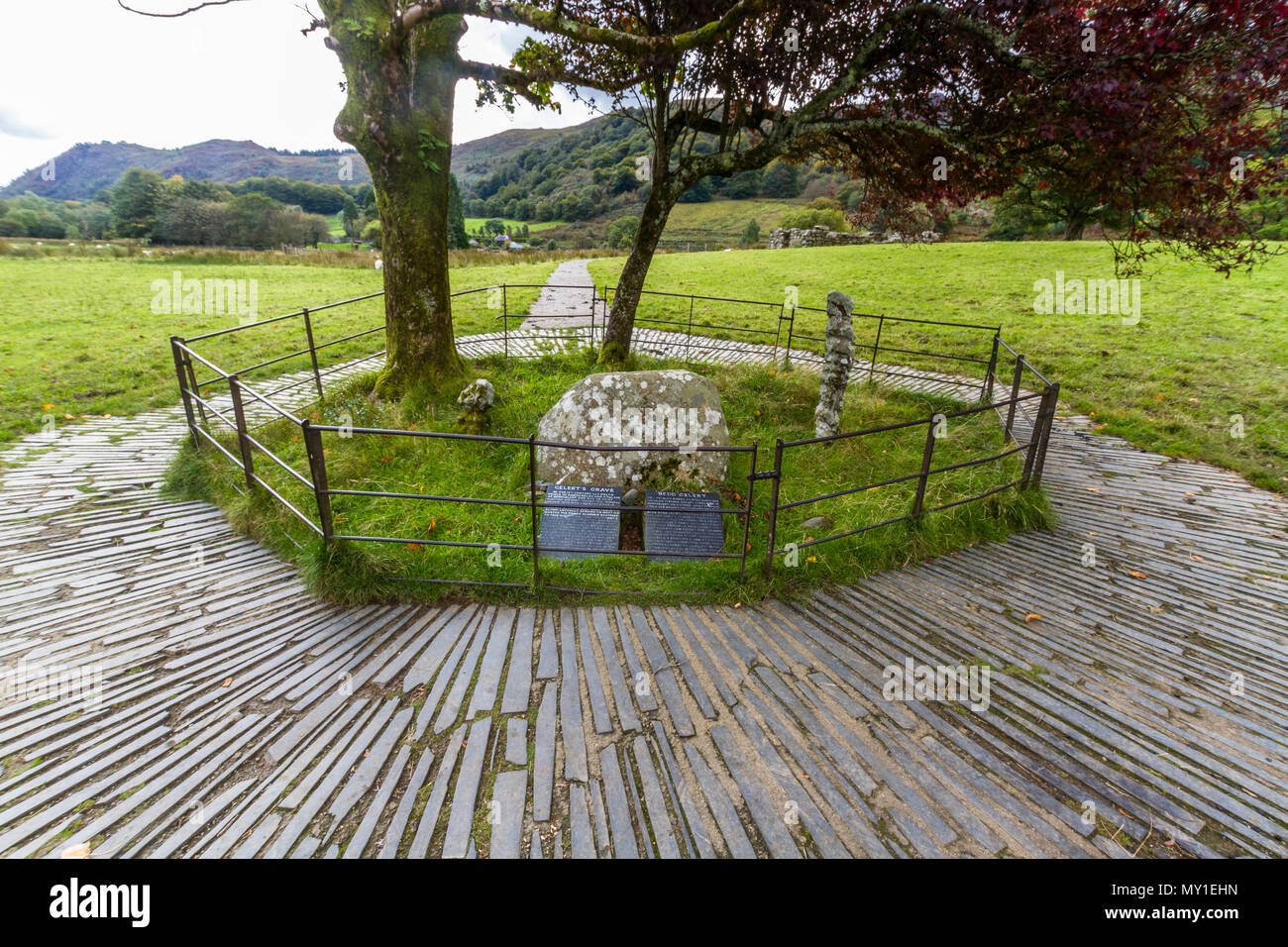 Gelert’s grave dog hi-res stock photography and images - Alamy