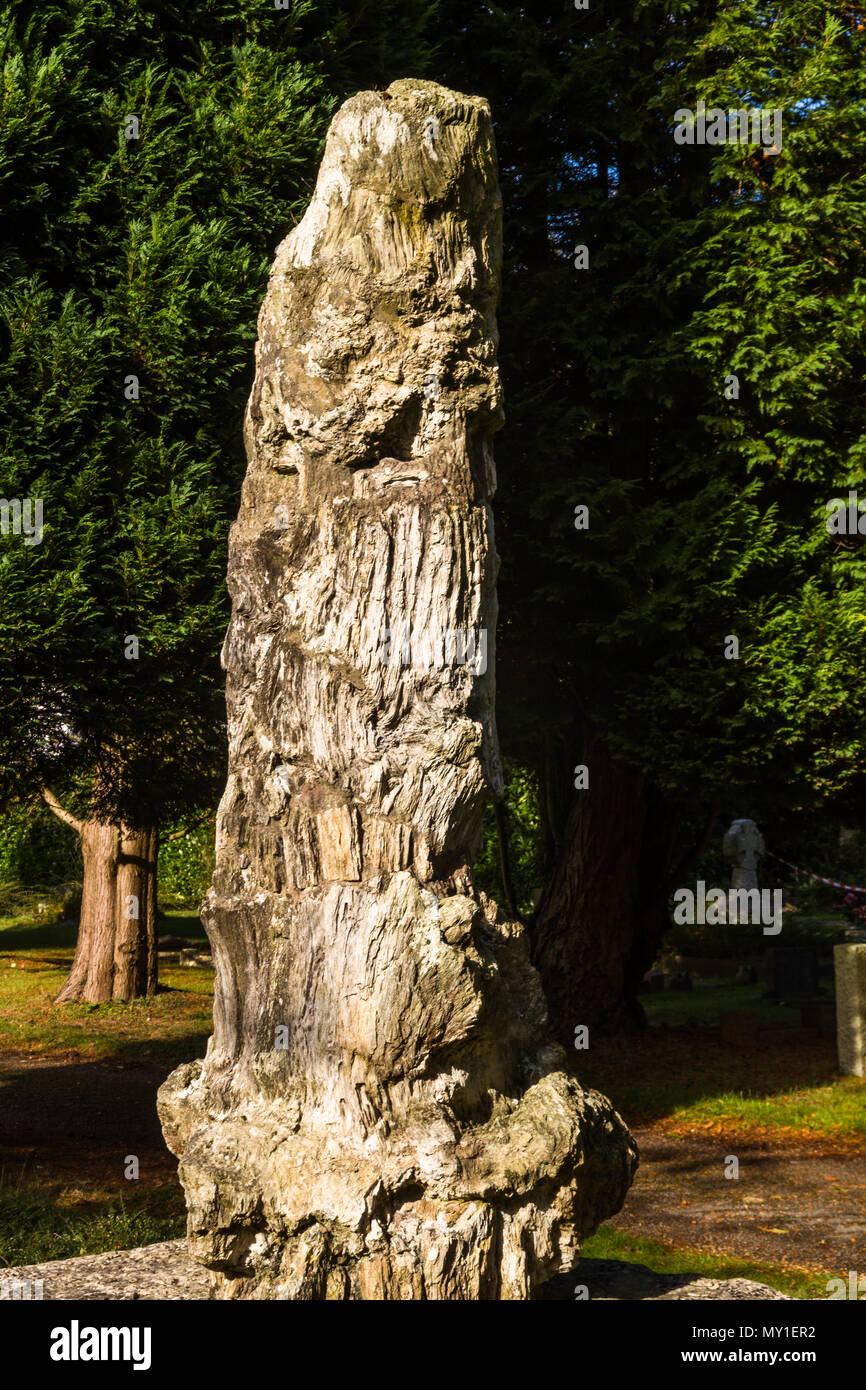 Petrified tree on top of grave of Alfred Wallace, Broadstone, Dorset ...