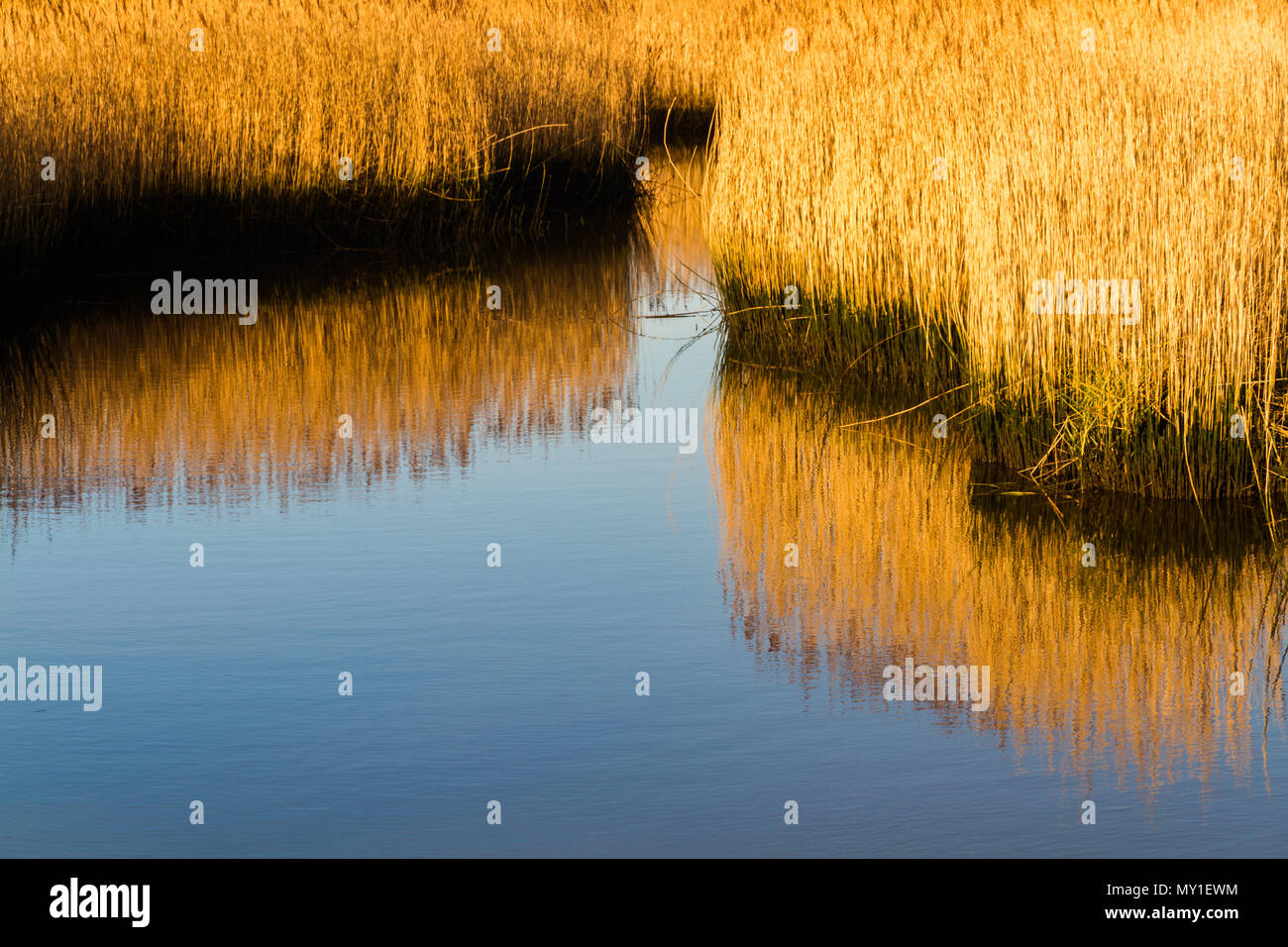 Mother sillers channel hi-res stock photography and images - Alamy