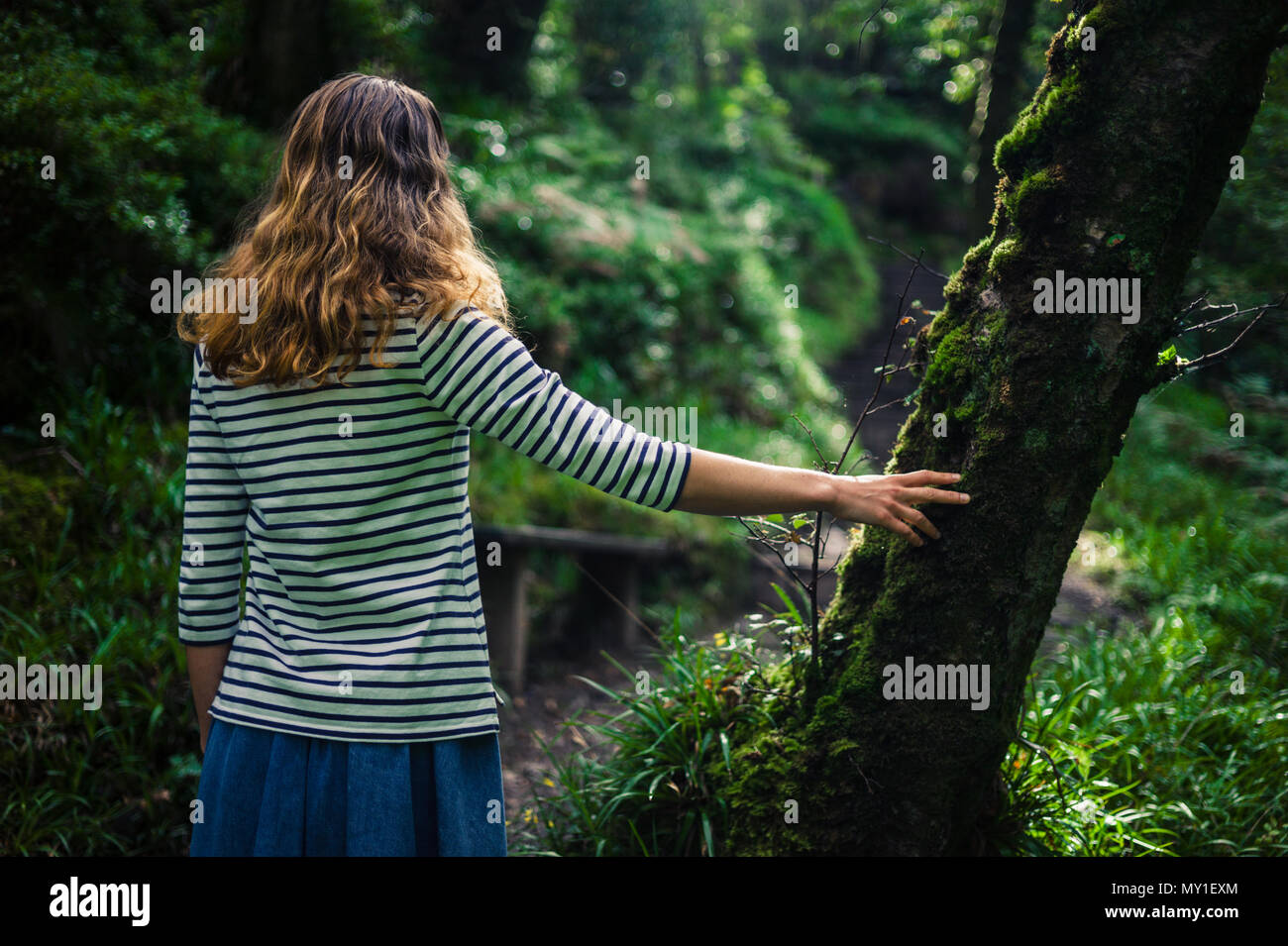 A young woman is resting her hand on a tree in the forest Stock Photo ...