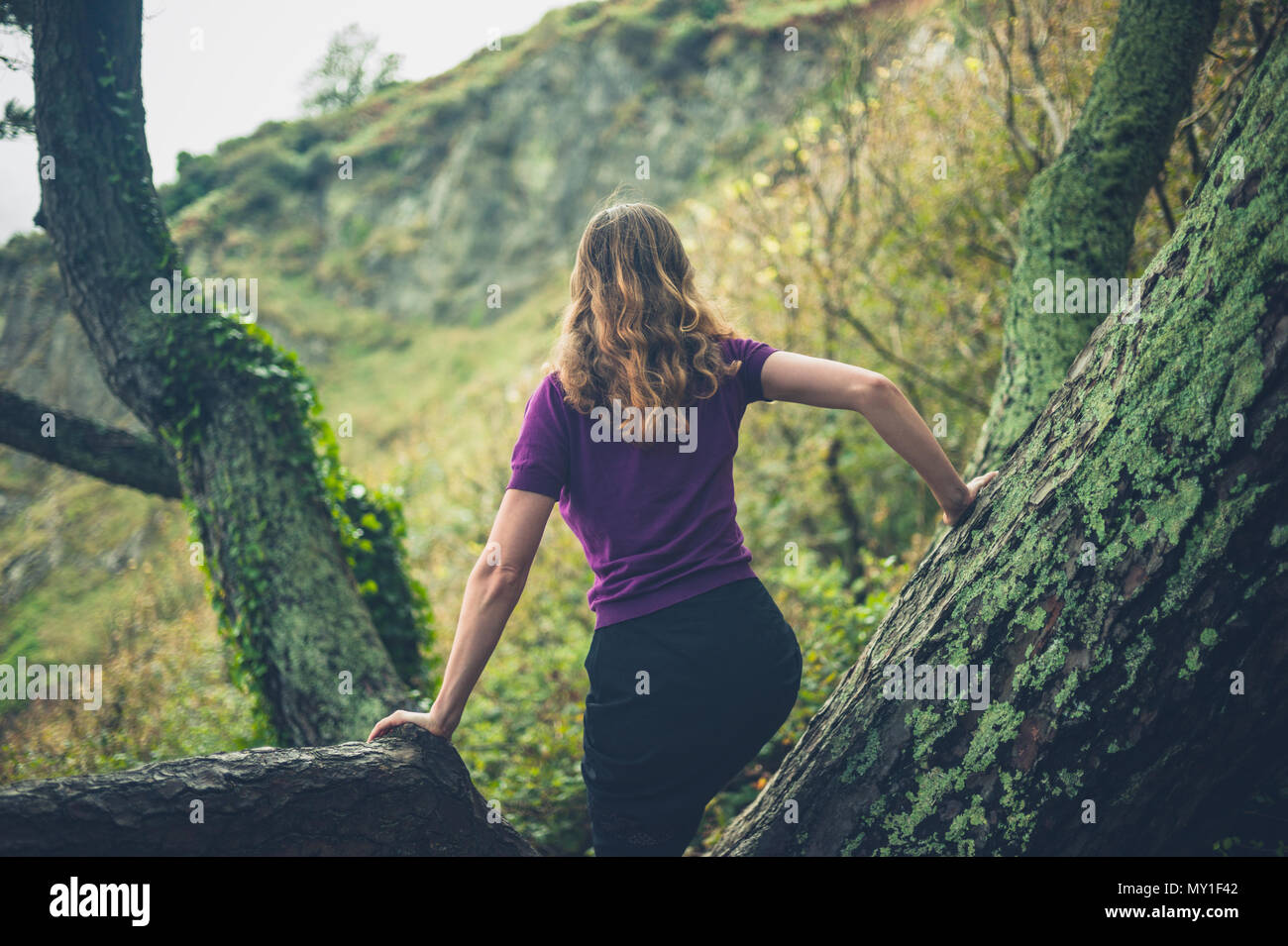 A young woman is climbing a tree in the wilderness Stock Photo - Alamy