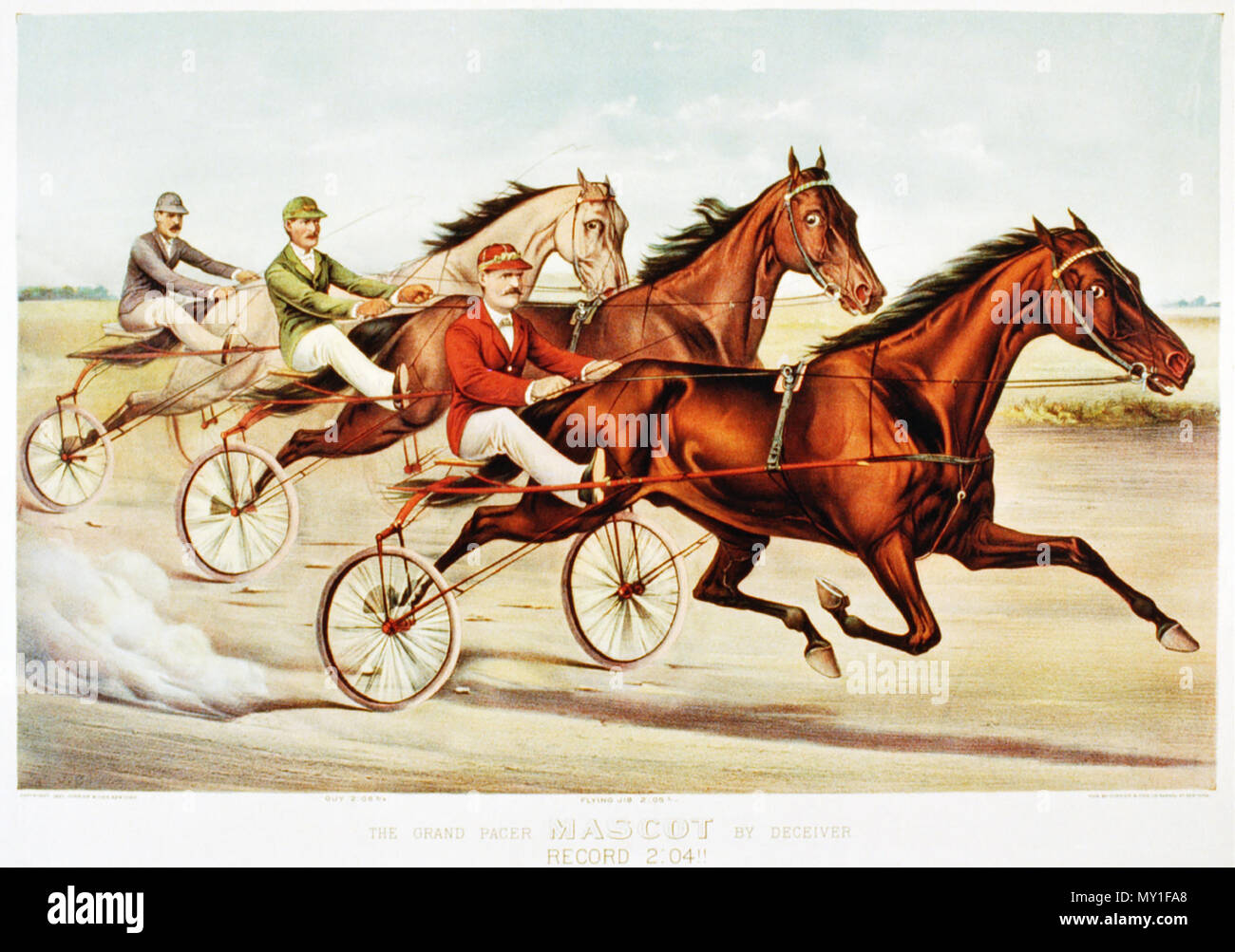 Cameron Harness's Instagram, Twitter & Facebook on IDCrawl