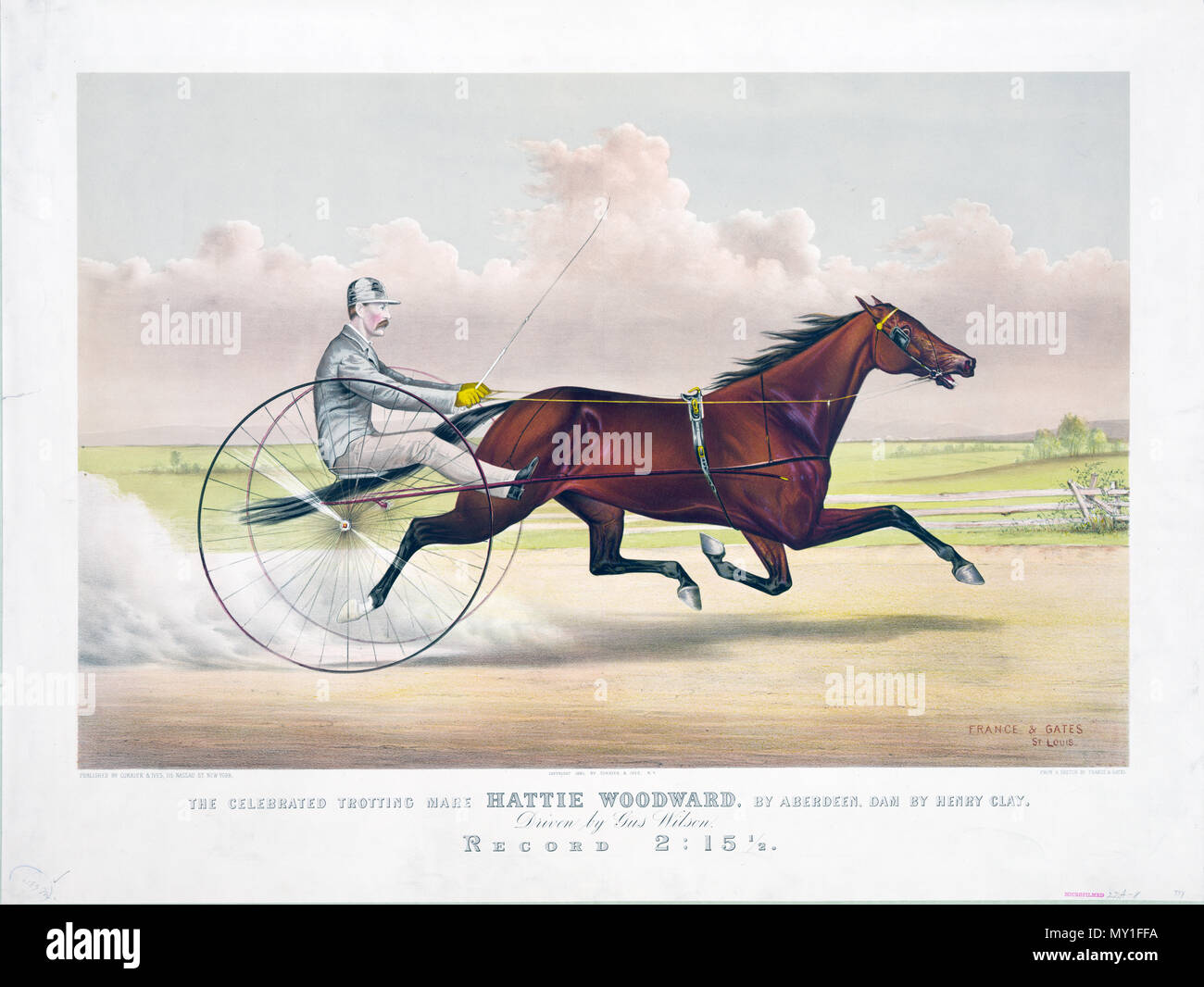 Cameron Harness's Instagram, Twitter & Facebook on IDCrawl