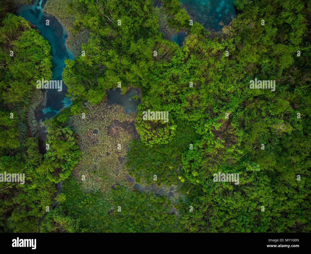 Aerial view above zelenci hi-res stock photography and images - Alamy