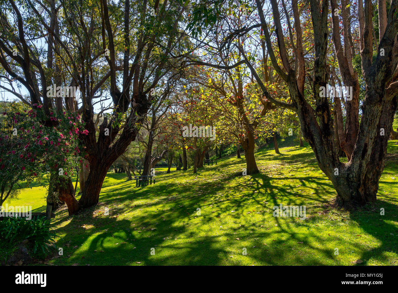 Australian Garden Scenes Stock Photo - Alamy