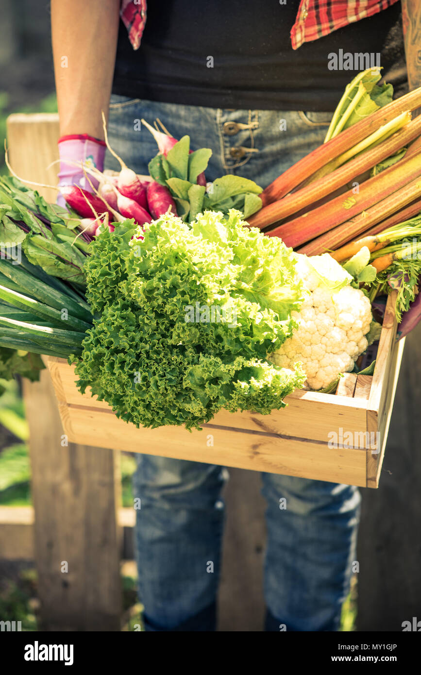 Real people crate hi-res stock photography and images - Alamy