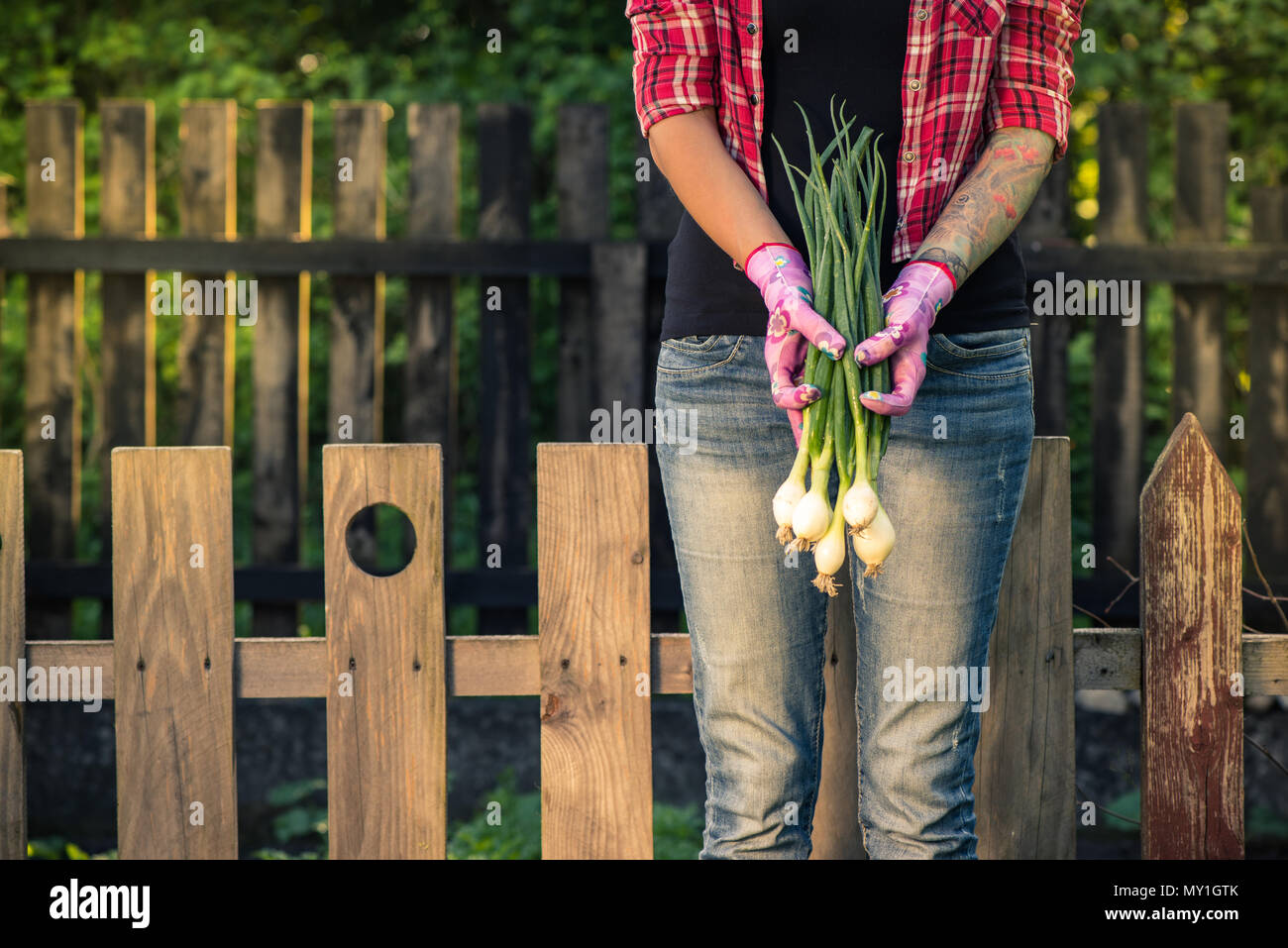 Woman horticulture hi-res stock photography and images - Alamy