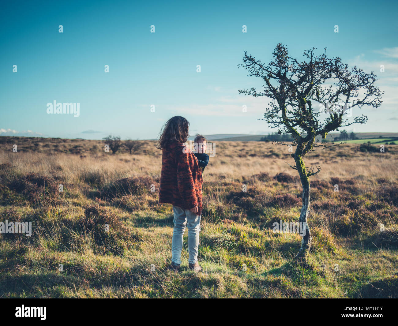 Tree in the wilderness hi-res stock photography and images - Alamy