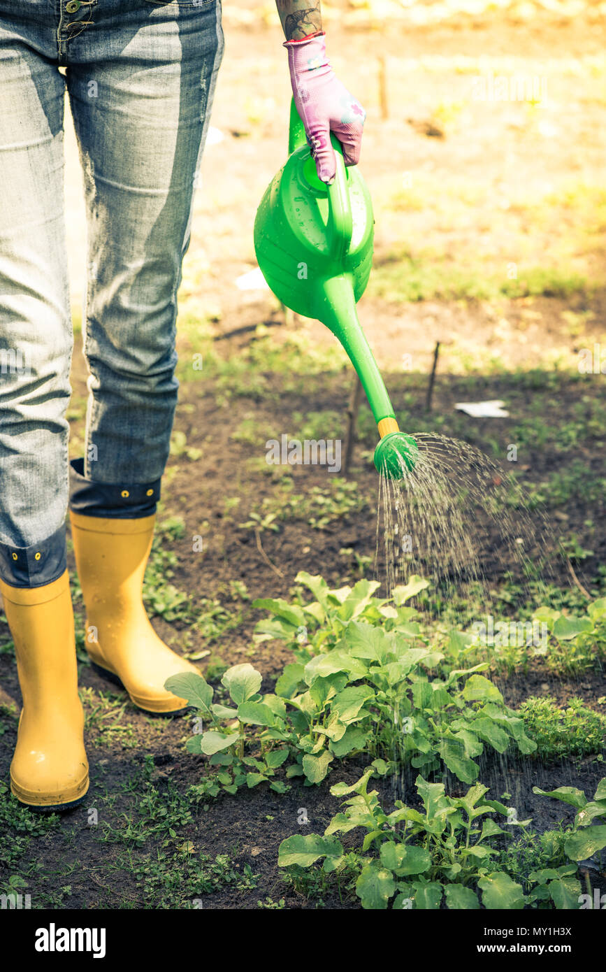 Watring plants hi-res stock photography and images - Alamy