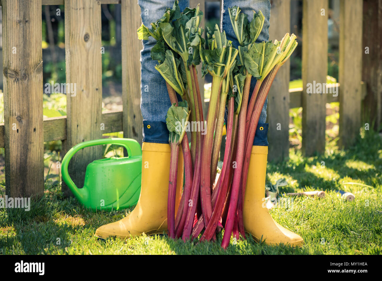 Girl wearing wellies hi-res stock photography and images - Alamy