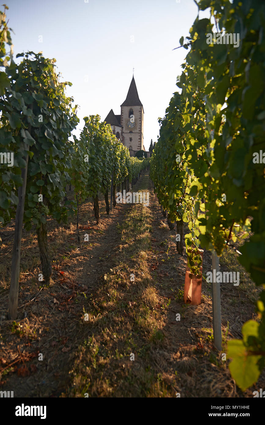 Postcard quality shot of a little church on a hill surrounded by fields ...