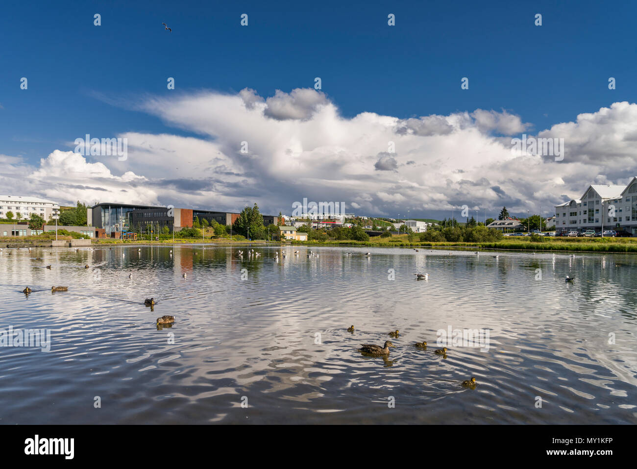Hafnarfjordur, suburb of Reykjavik, Iceland Stock Photo - Alamy