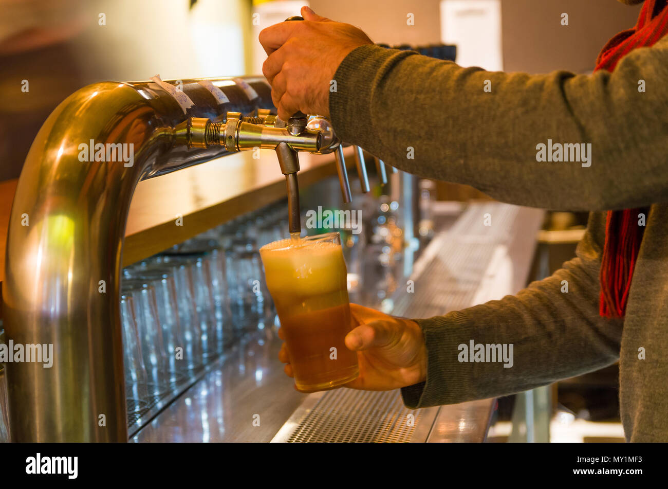 Beer being taken from the tap in brewpub, craft beer, hand of ma Stock ...